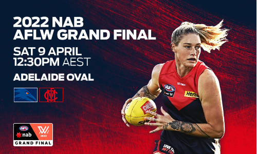 BCNA Pink Sports Day - News - AFLW Coach and Captain of the Year and ...