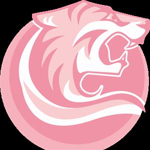 BCNA Pink Sports Day - Melbourne Tigers NBL1 Pink Round