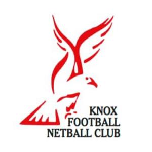 BCNA Pink Sports Day - Knox Football Netball Club